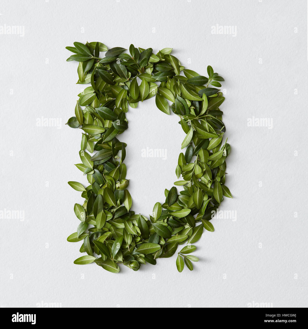 Alphabet letters from leaves Stock Photo - Alamy