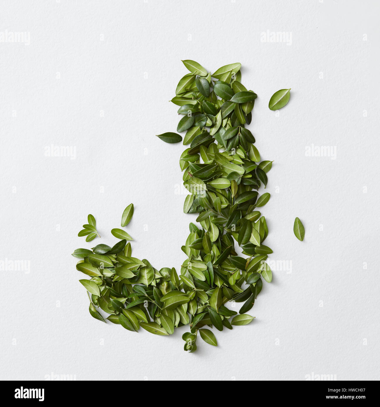 Alphabet letters from leaves Stock Photo - Alamy
