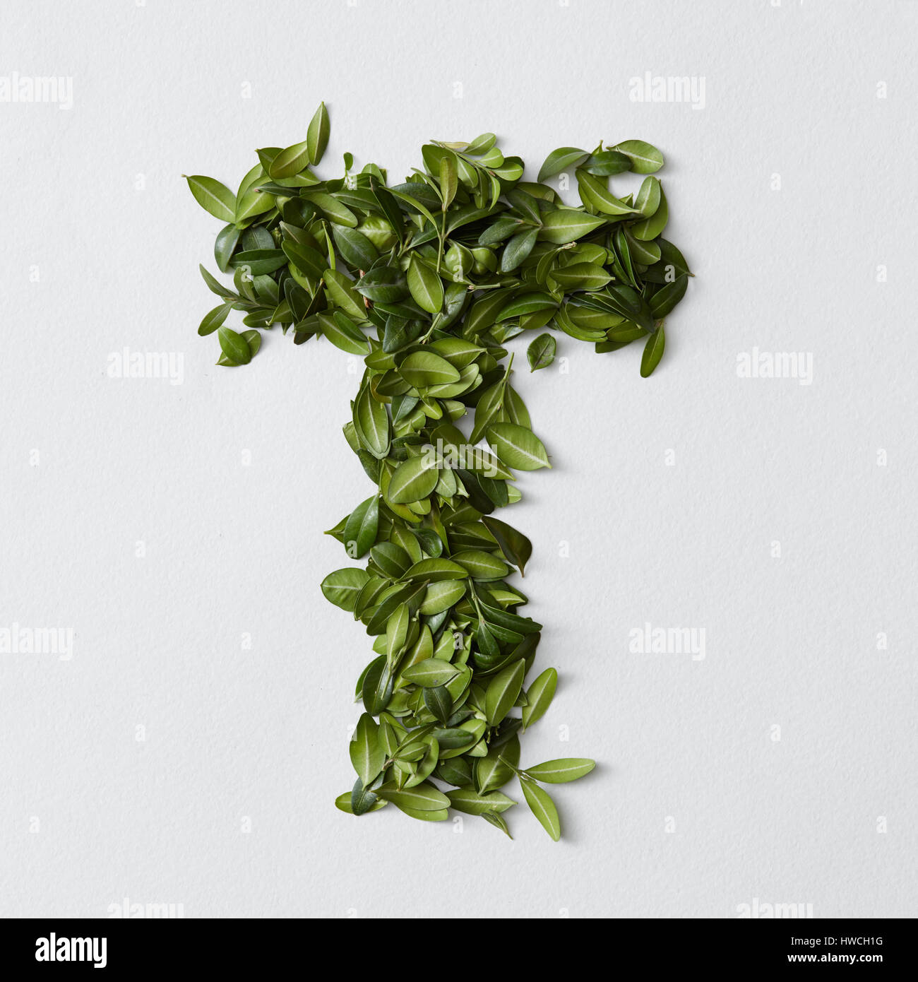 Alphabet letters from leaves Stock Photo - Alamy