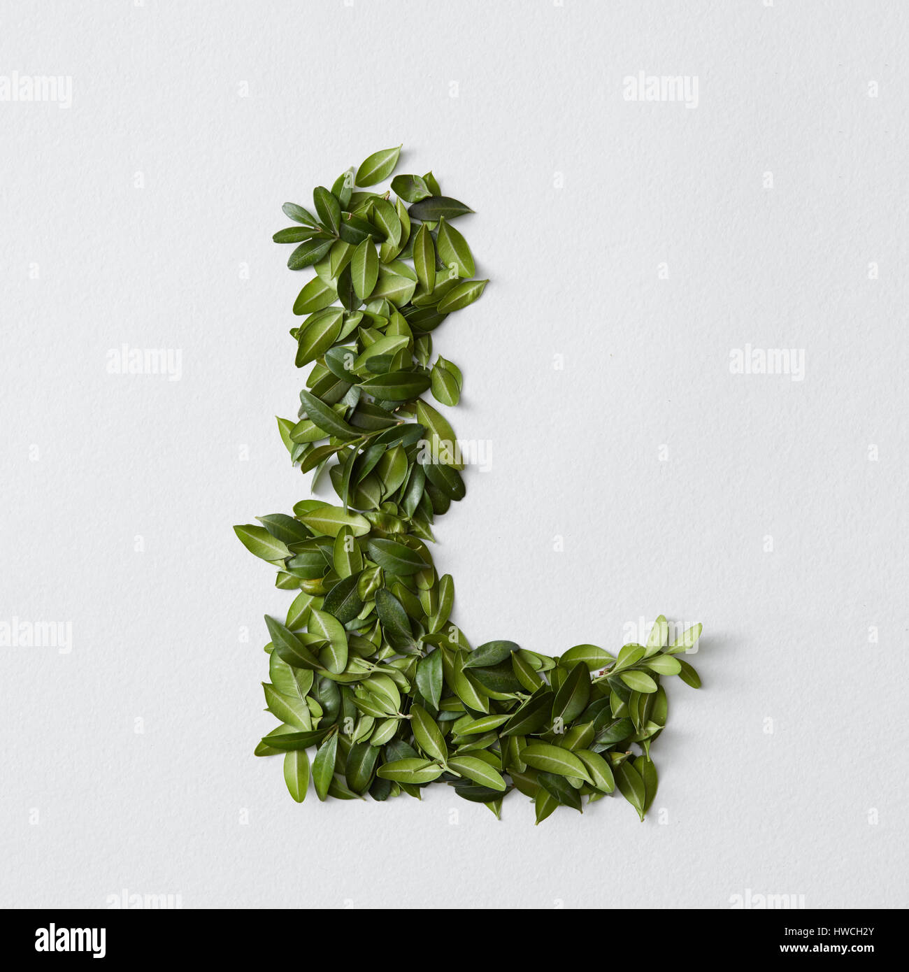 Alphabet letters from leaves Stock Photo - Alamy