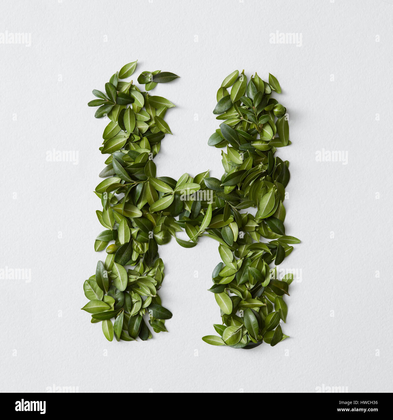 Greenery alphabet hi-res stock photography and images - Alamy