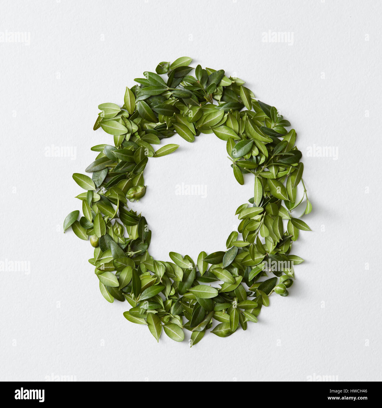 Alphabet letters from leaves Stock Photo - Alamy