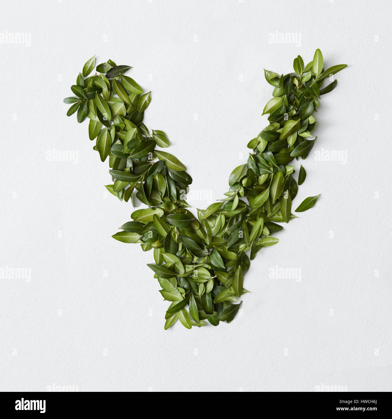 Alphabet letters from leaves Stock Photo - Alamy