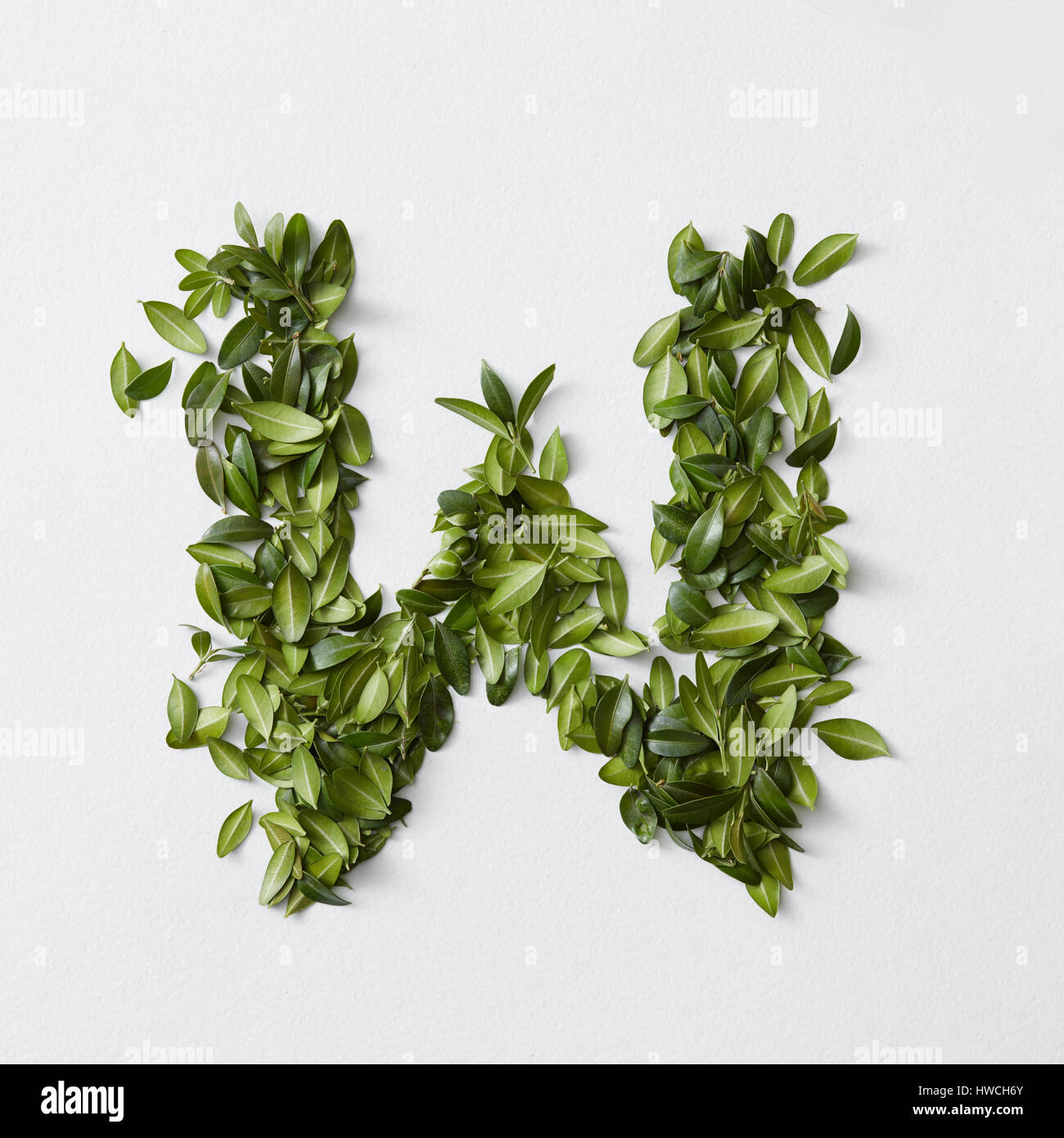 Alphabet letters from leaves Stock Photo - Alamy