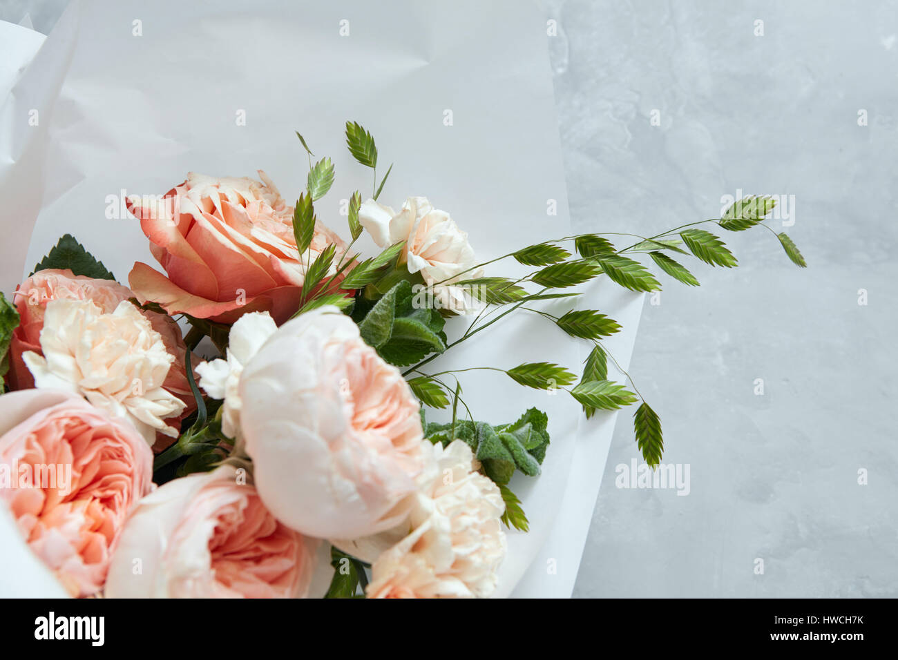 Roses on white background Stock Photo - Alamy