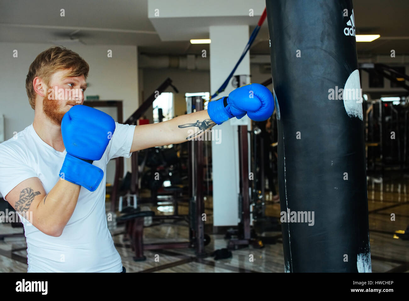 Attractive male boxer in gym hi-res stock photography and images - Alamy