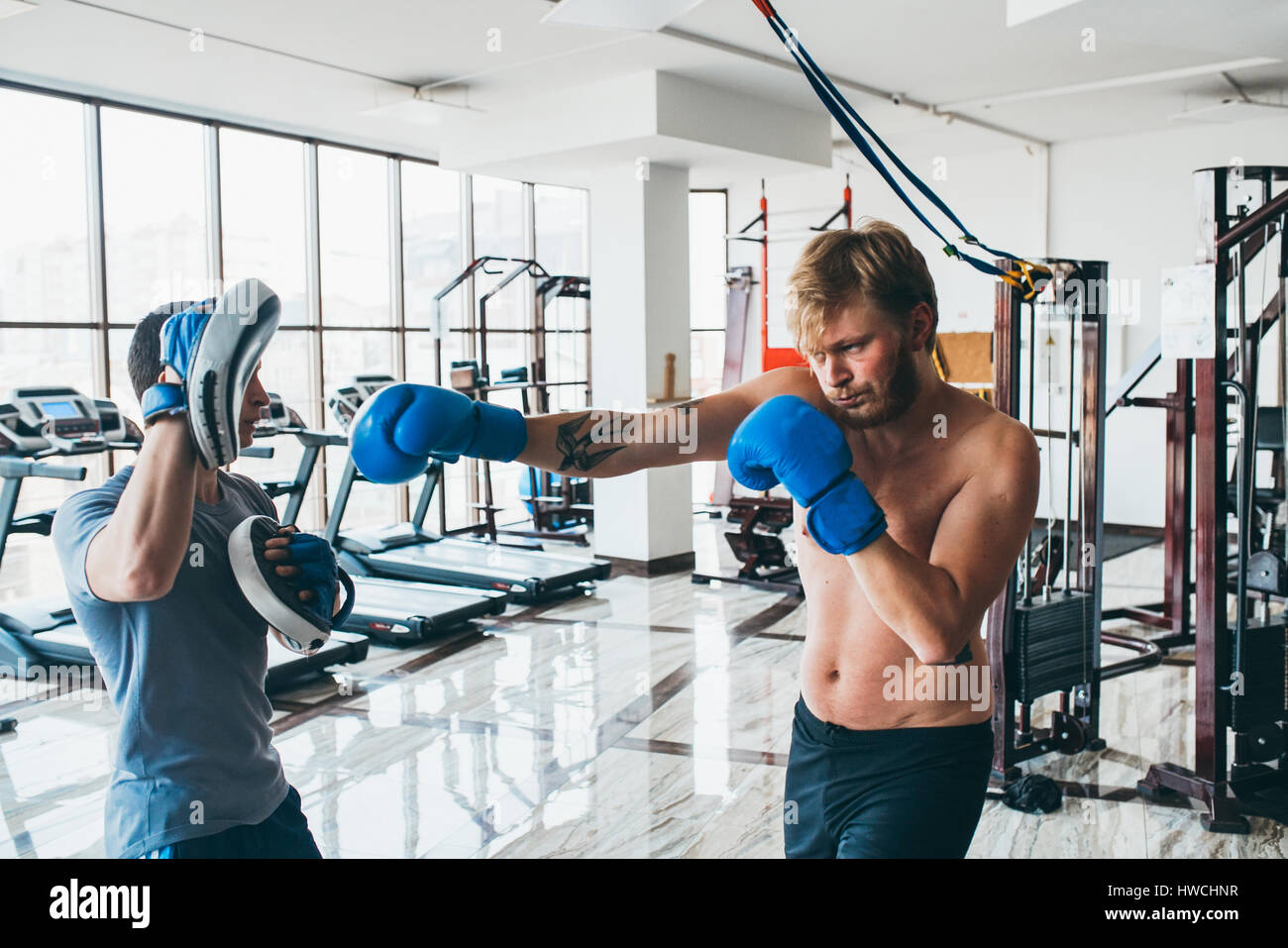 Side view handsome boxer hi-res stock photography and images - Alamy