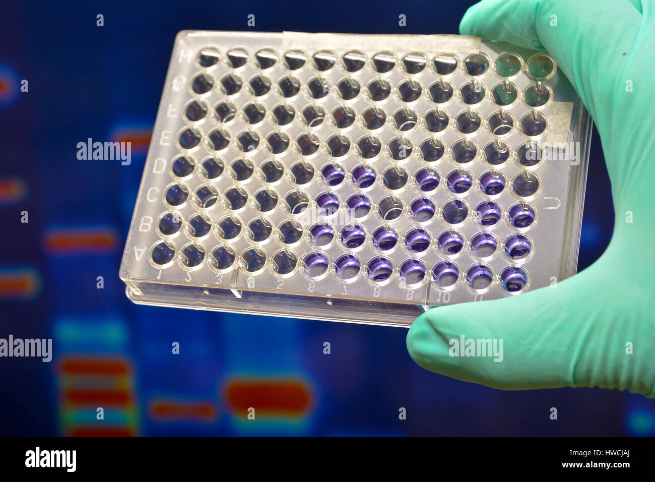 Exam in progress hi-res stock photography and images - Alamy