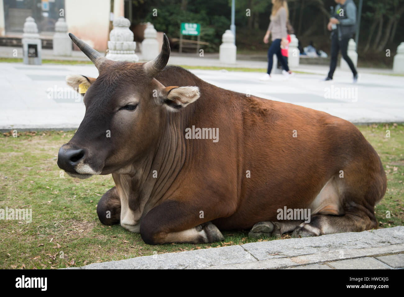 A KFC (Kentucky Fried Chicken) branch in the heart of Hong Kong ...