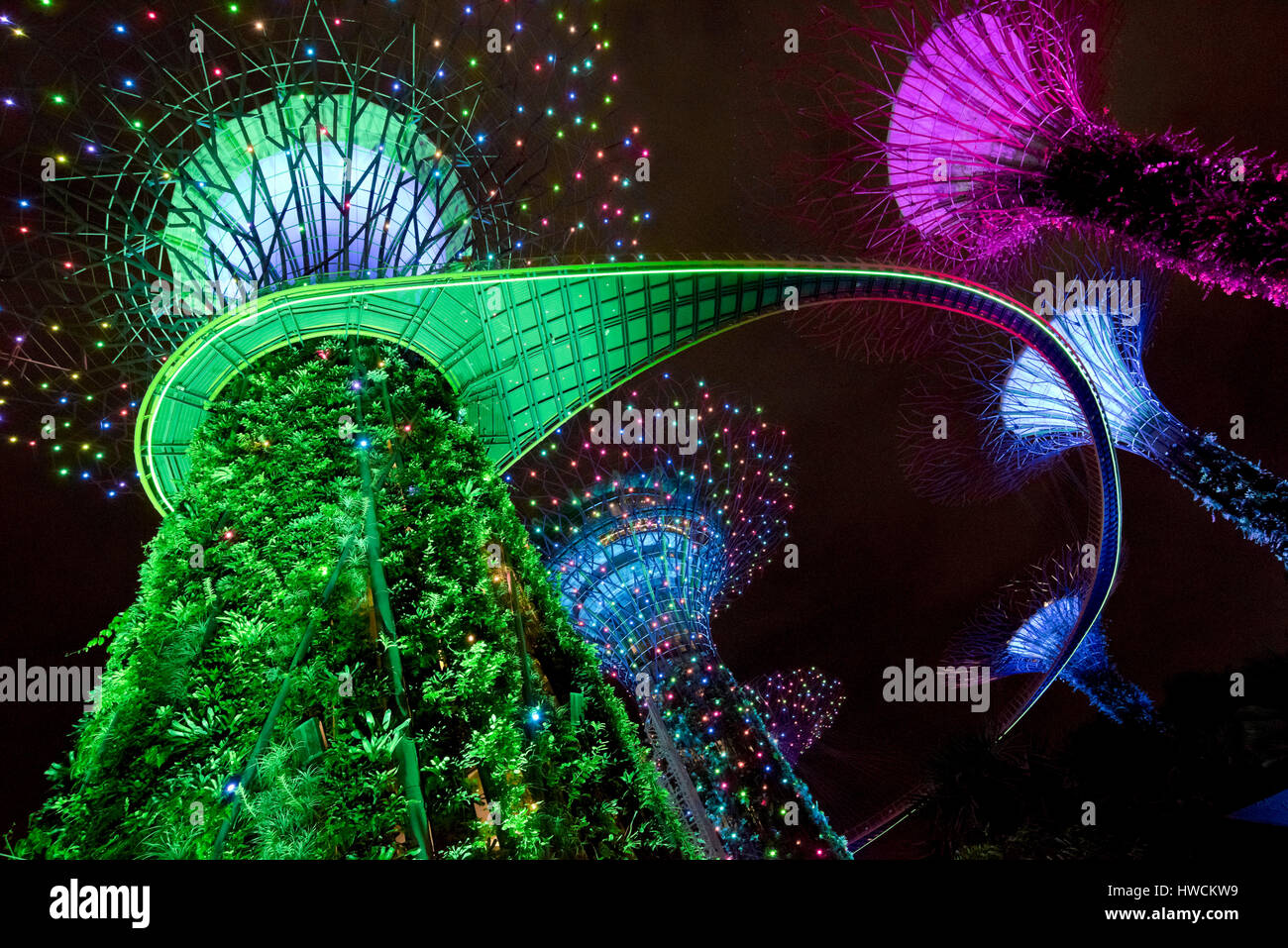 Horizontal view of the OCBC Garden Rhapsody light show at the ...