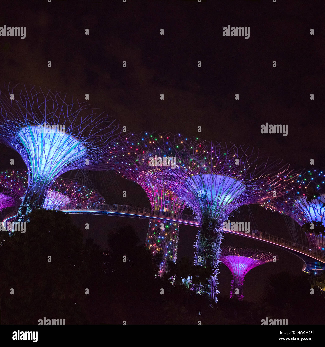 Square view of the light show at the Supertree grove in Singapore Stock ...