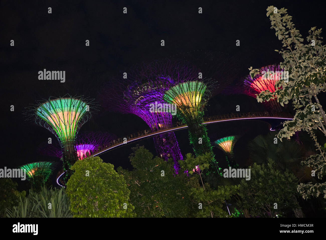 Beautiful light show supertree grove hi-res stock photography and ...