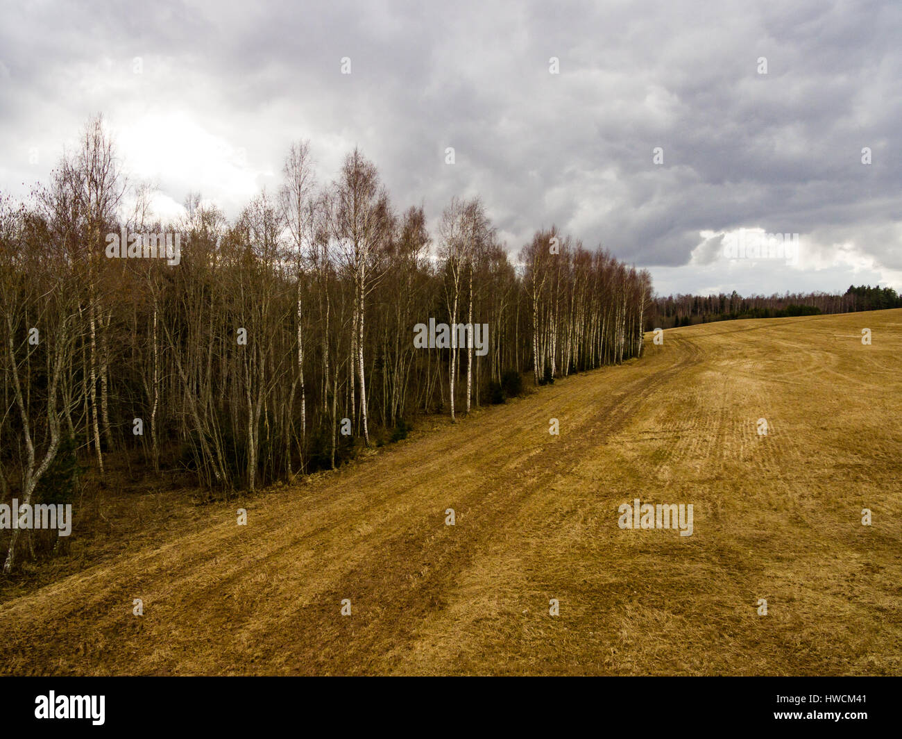 aerial view of rural area with fields and forests in cloudy spring day ...