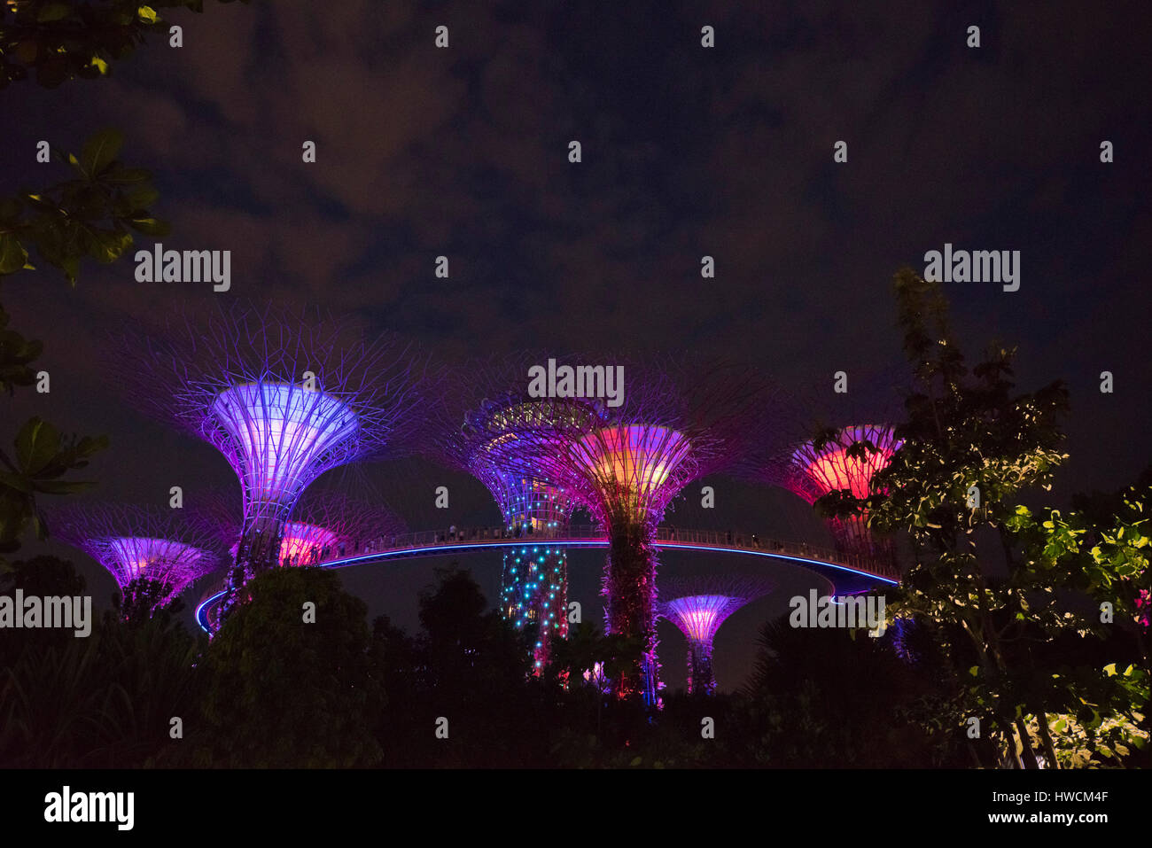 Horizontal view of the light show at the Supertree grove in Singapore ...