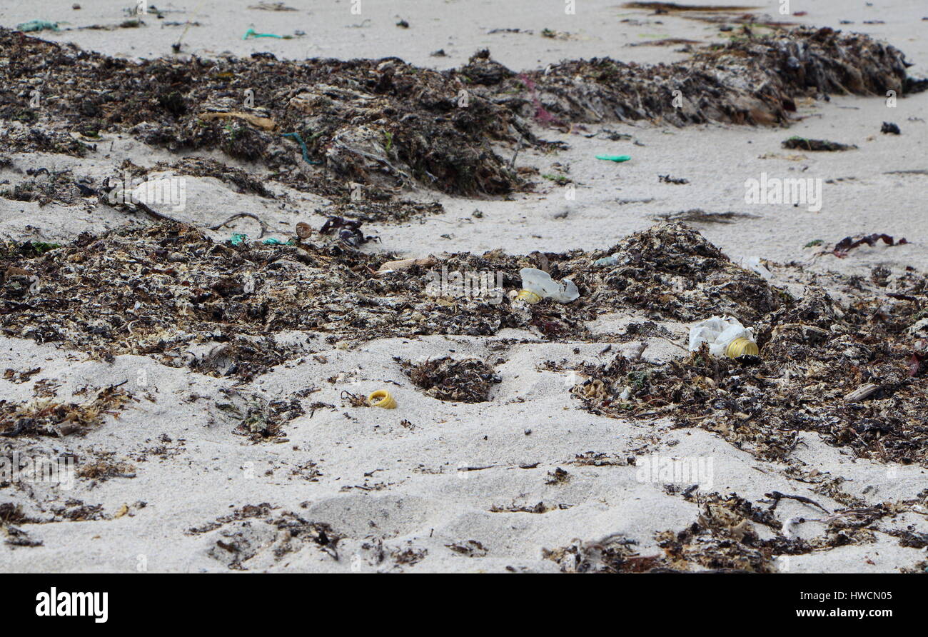 Rubbish on the beach Stock Photo - Alamy