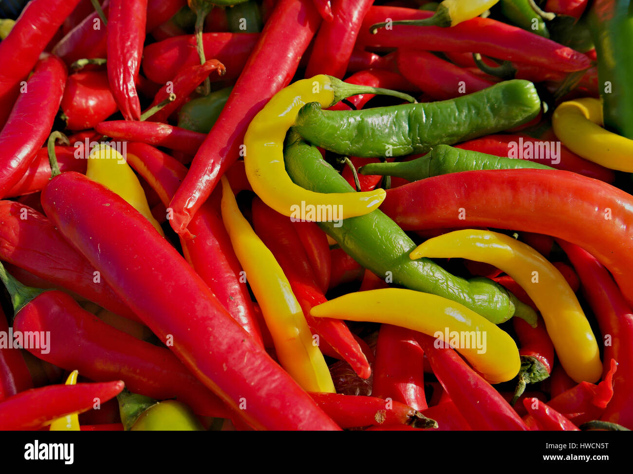 Group of spicy peppers of various colors Stock Photo - Alamy