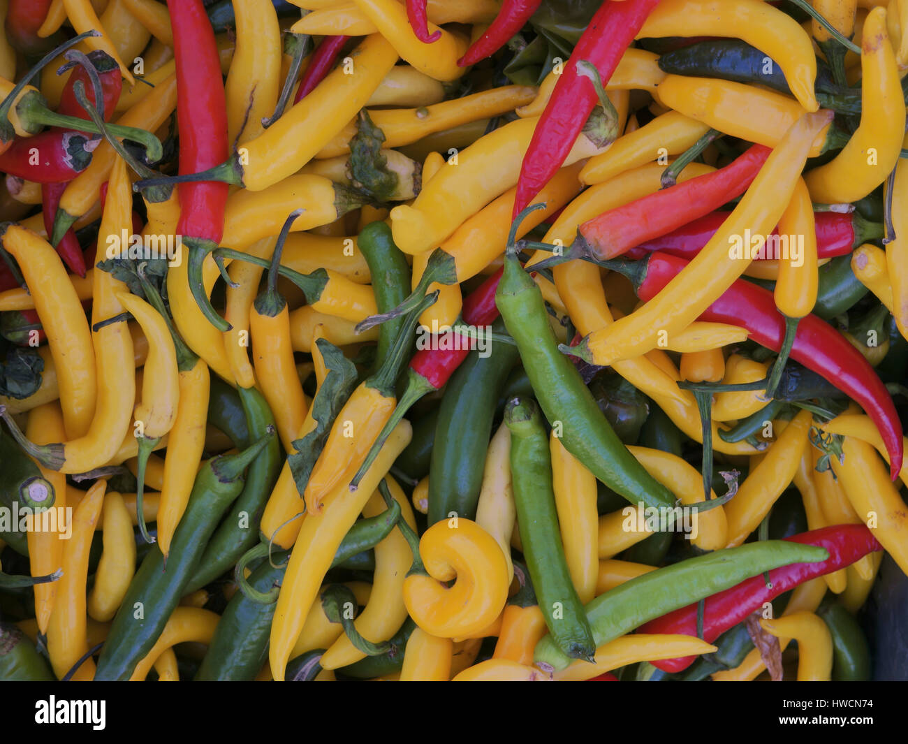 Group of spicy peppers of various colors Stock Photo - Alamy