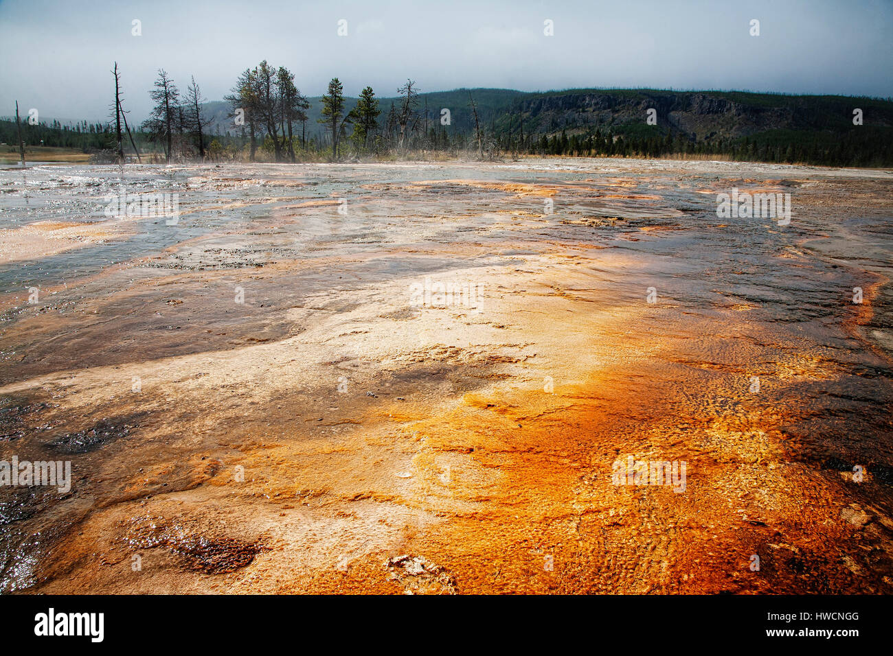Biscuit basin yellowstone national park hi-res stock photography and ...