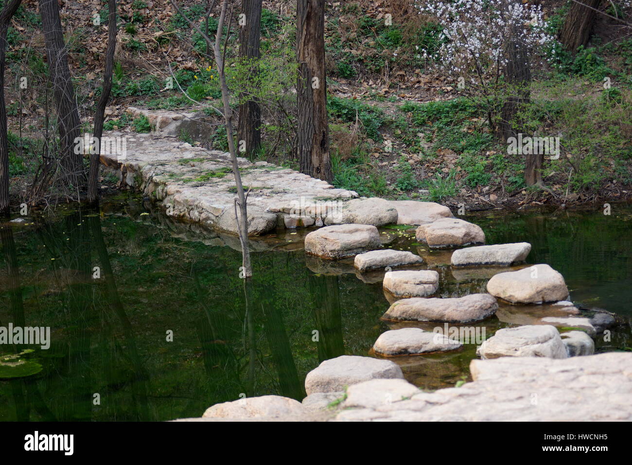 Stream and bridge hi-res stock photography and images - Alamy