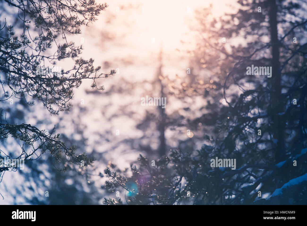 March scenery hi-res stock photography and images - Alamy