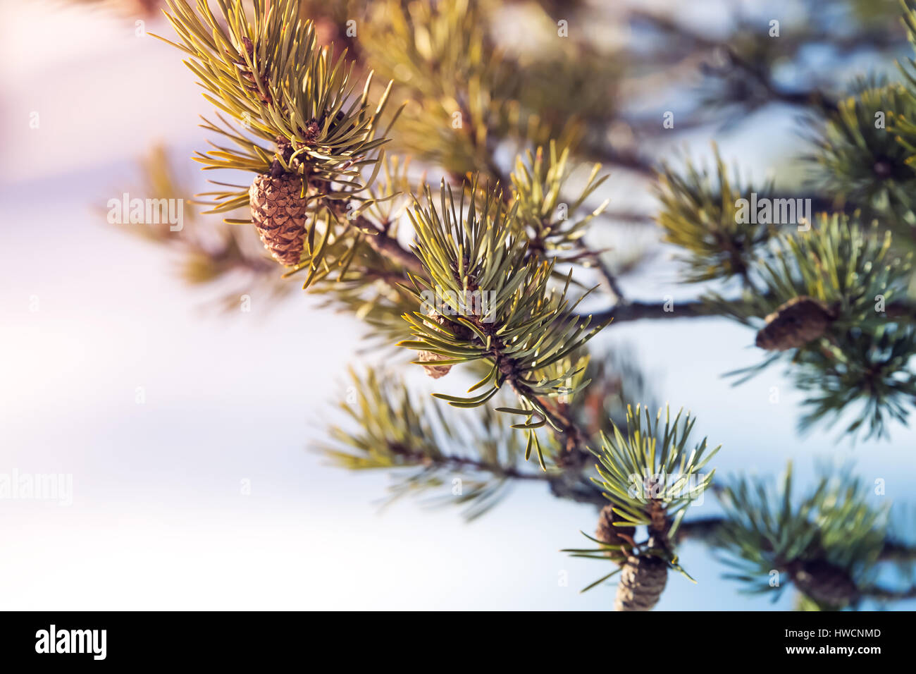 March scenery hi-res stock photography and images - Alamy
