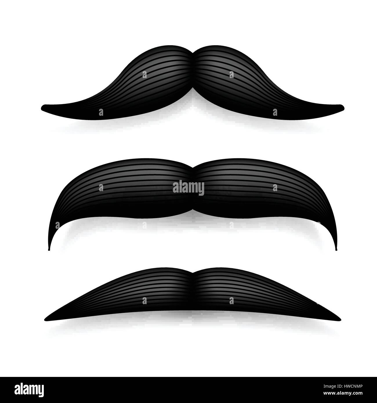 Mustache isolated on white. Black vector vintage moustache. Facial hair ...