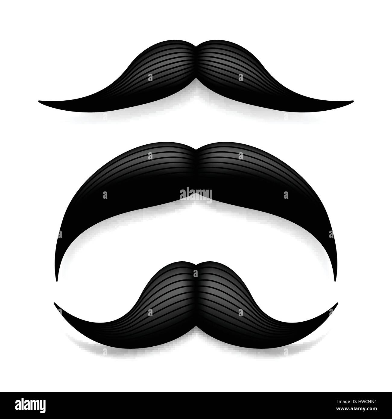 Mustache isolated on white. Black vector vintage moustache. Facial hair ...