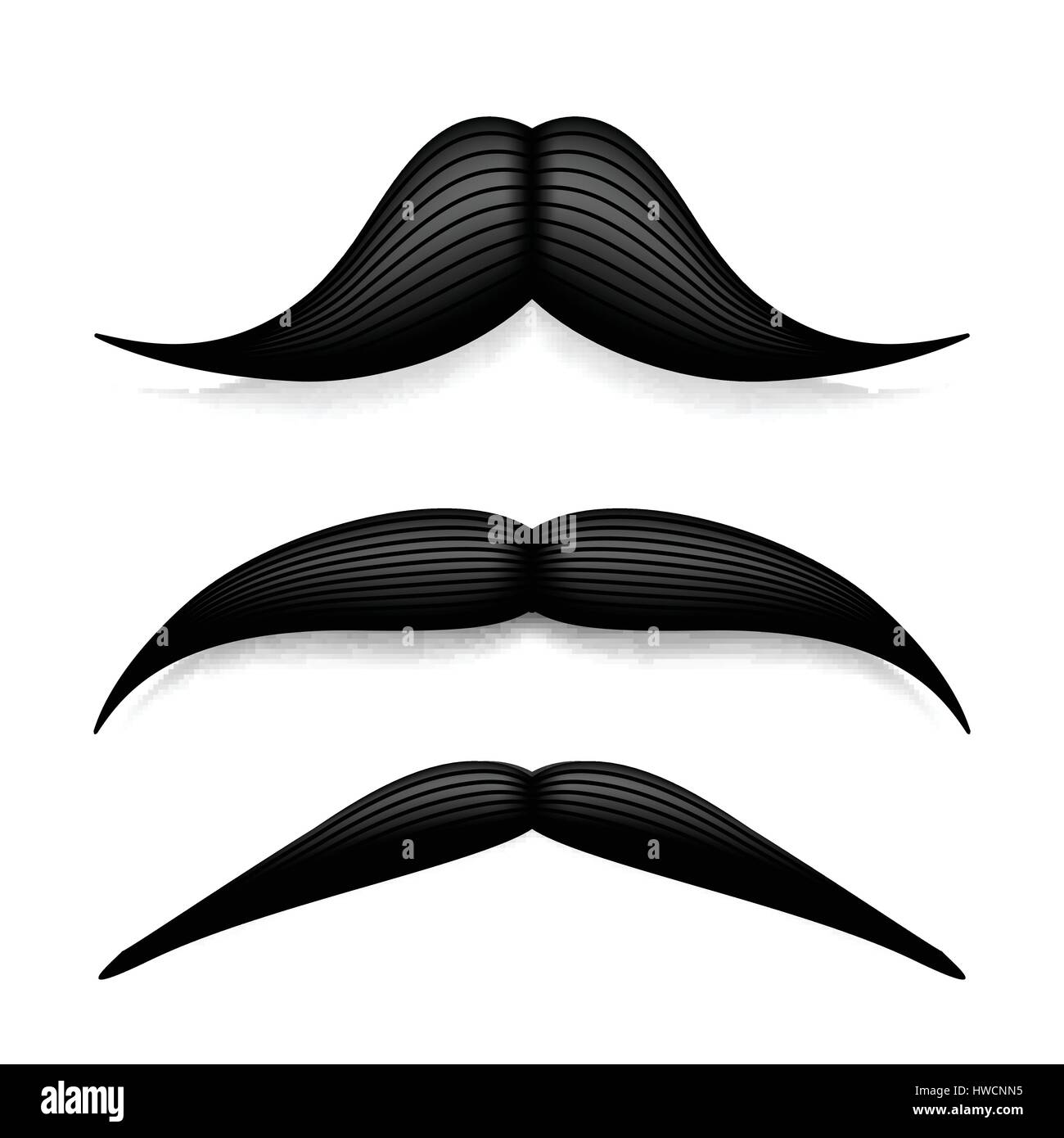 Mustache isolated on white. Black vector vintage moustache. Facial hair ...