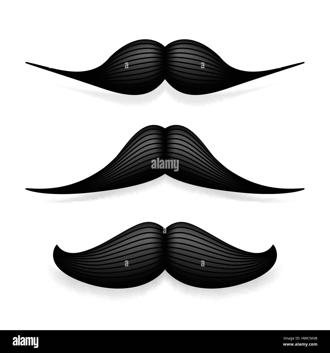 Mustache isolated on white. Black vector vintage moustache. Facial hair ...