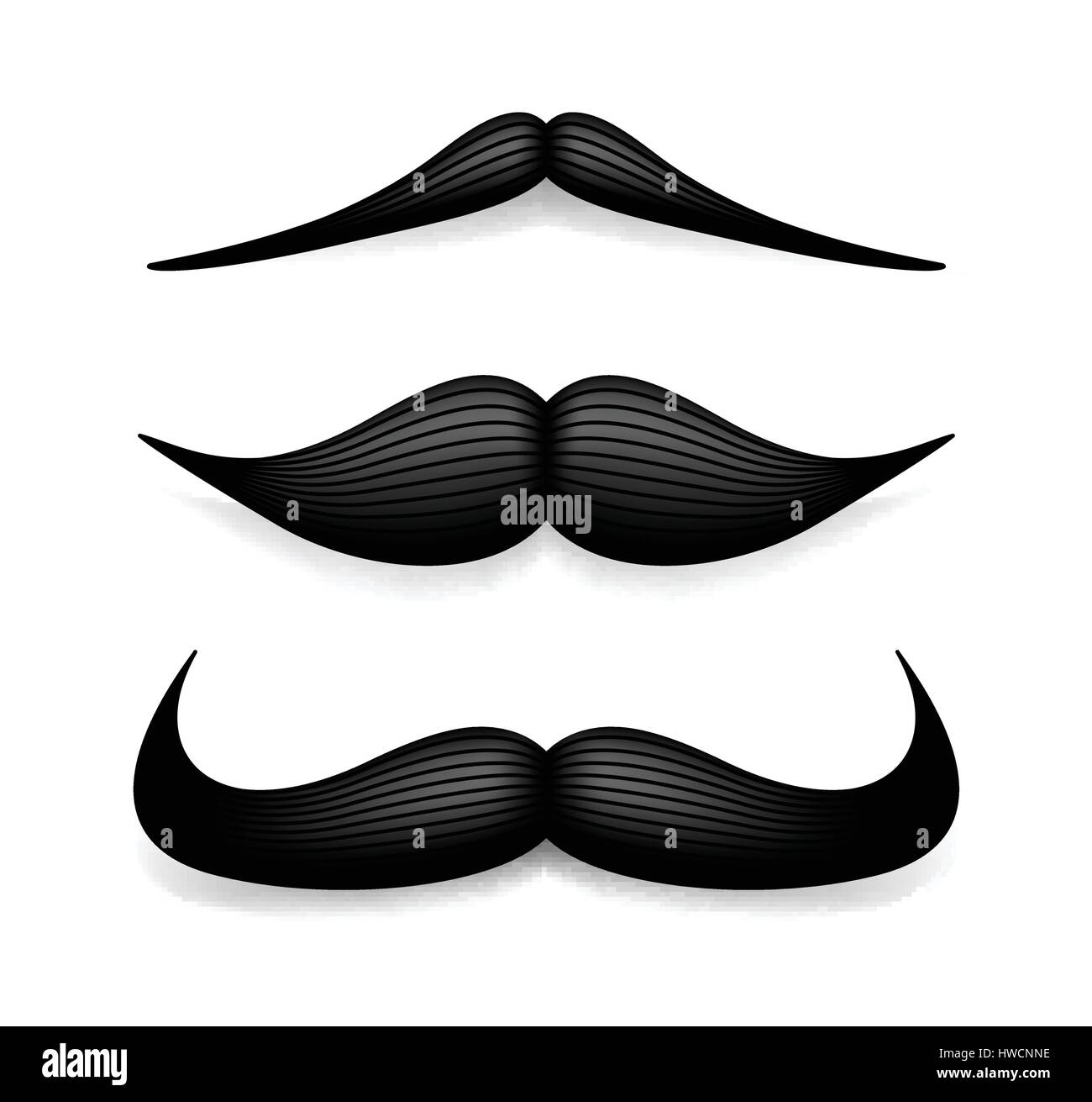 Mustache isolated on white. Black vector vintage moustache. Facial hair ...