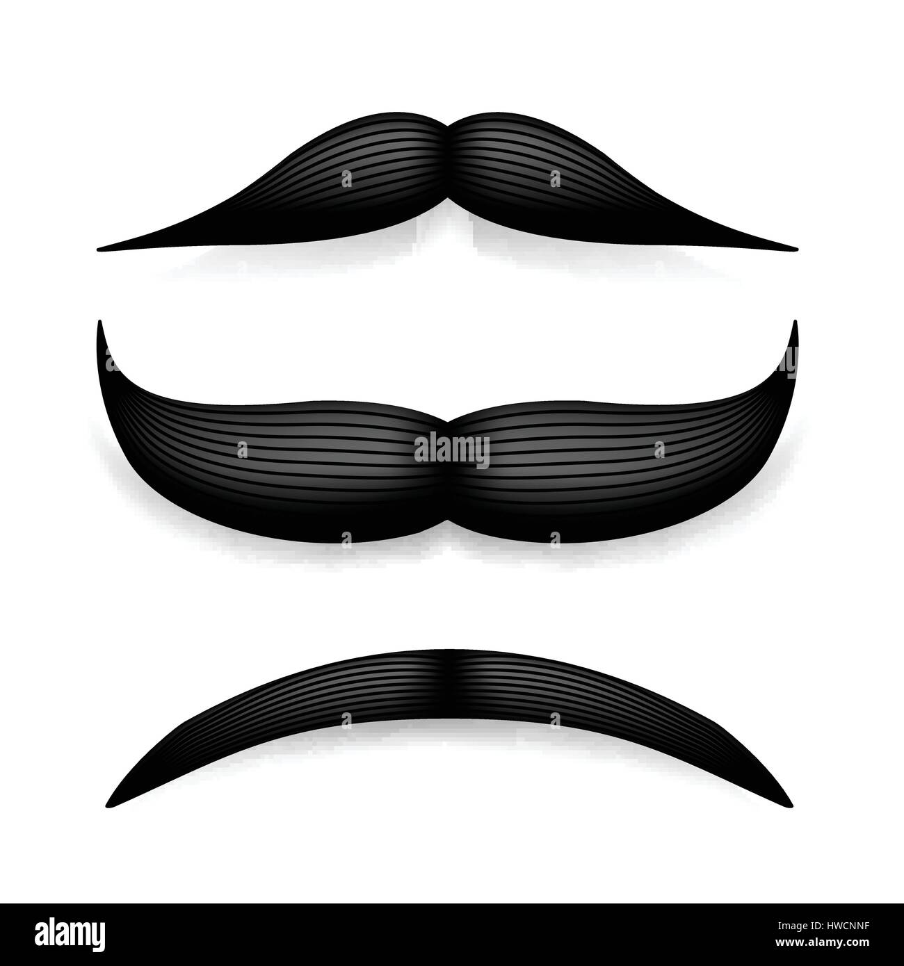 Mustache isolated on white. Black vector vintage moustache. Facial hair ...