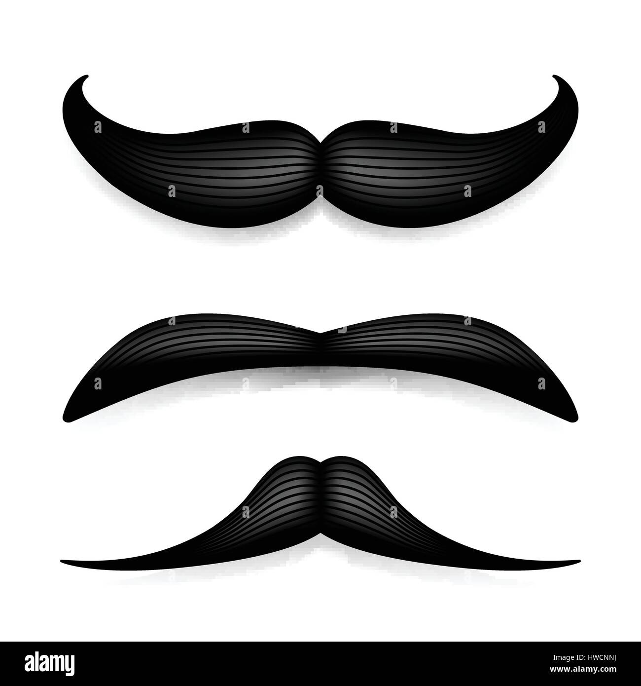 Mustache isolated on white. Black vector vintage moustache. Facial hair ...