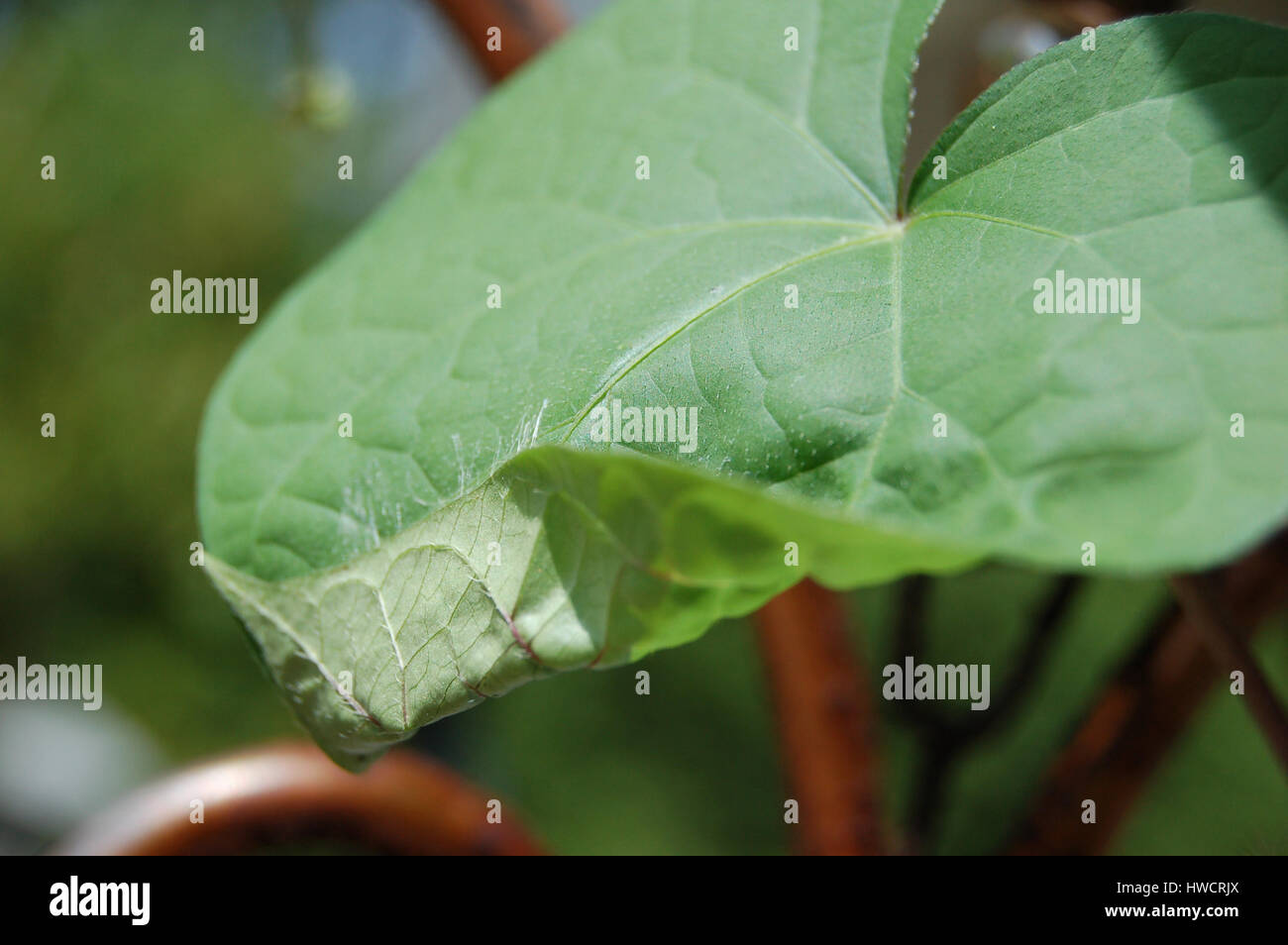 Hidden depth hi-res stock photography and images - Alamy