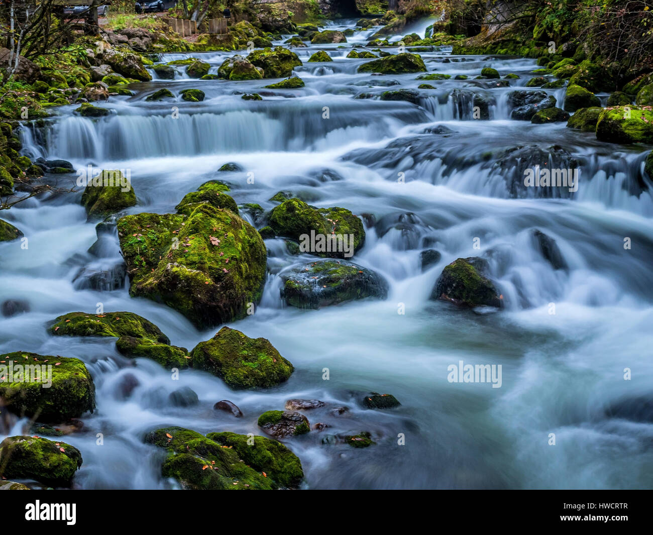 Austria, Ro?leithen. Brook Pie?ling. Clear, pure, fresh water from the ...