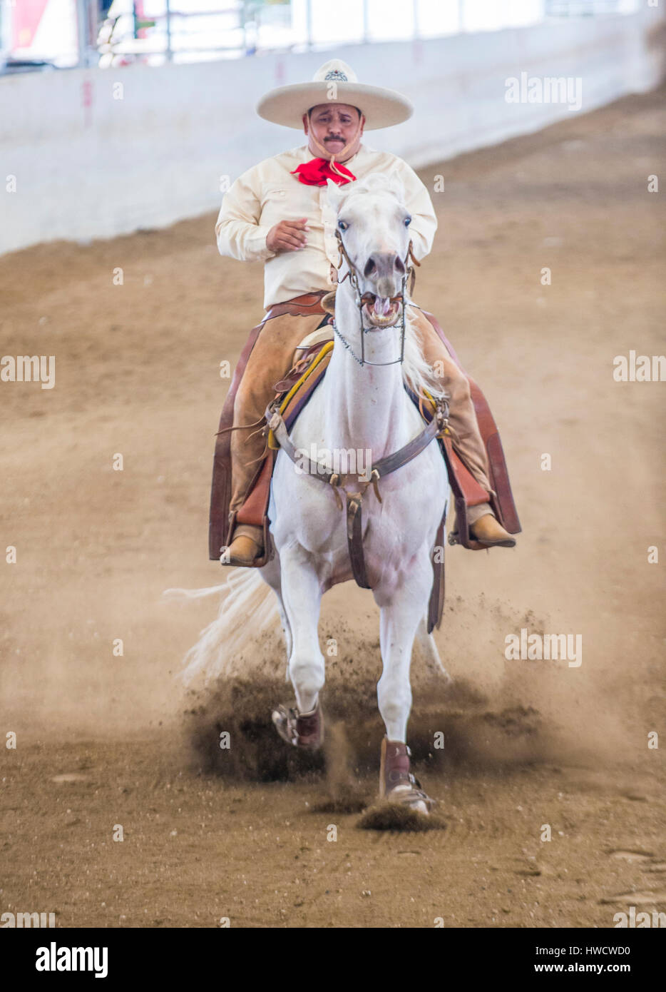 Caballos Charros Wallpaper
