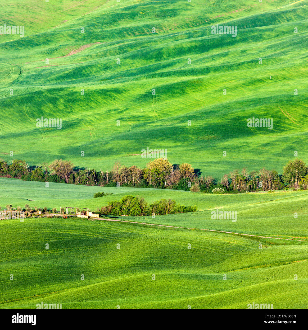 Tuscany landscape during spring. Tuscany, Italy Stock Photo - Alamy