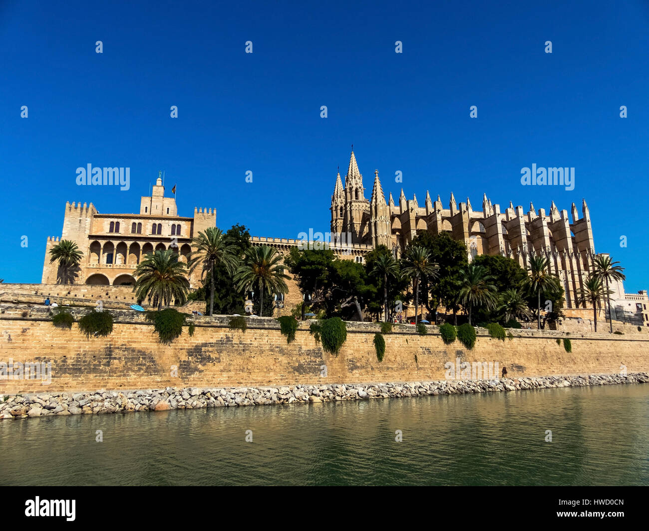 Cathedral La Seu in Palma de Majorca, Spa?ien, Kathedrale La Seu in ...