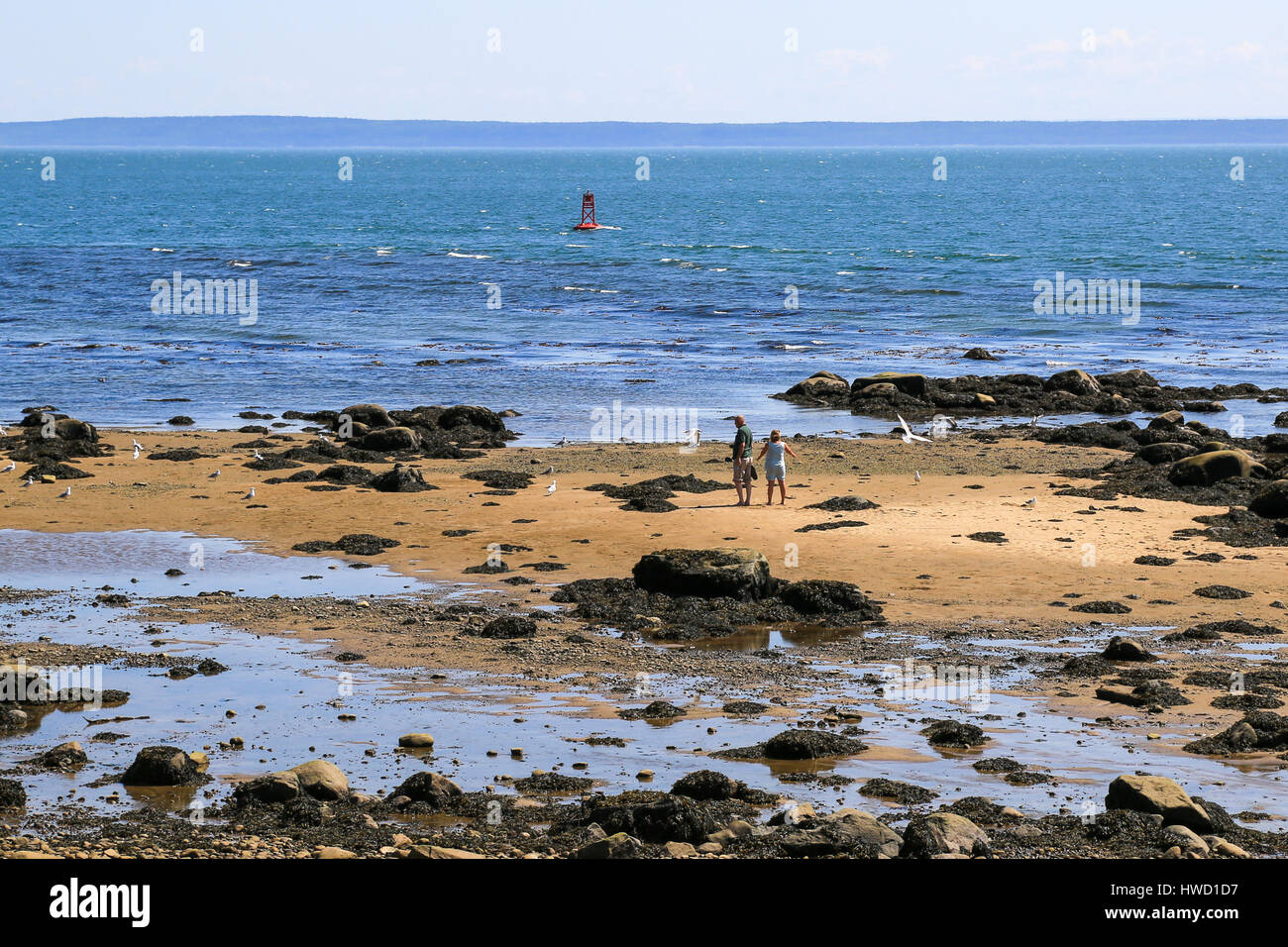 Shore of the Saint Lawrence River at Saint-Siméon, Quebec, Canada Stock ...