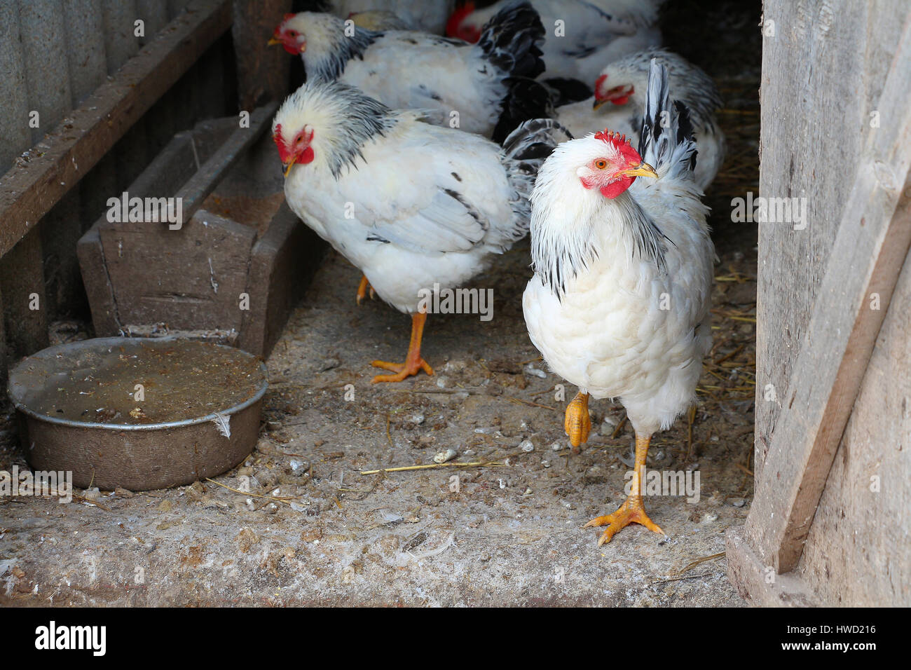 Real scenery hi-res stock photography and images - Alamy