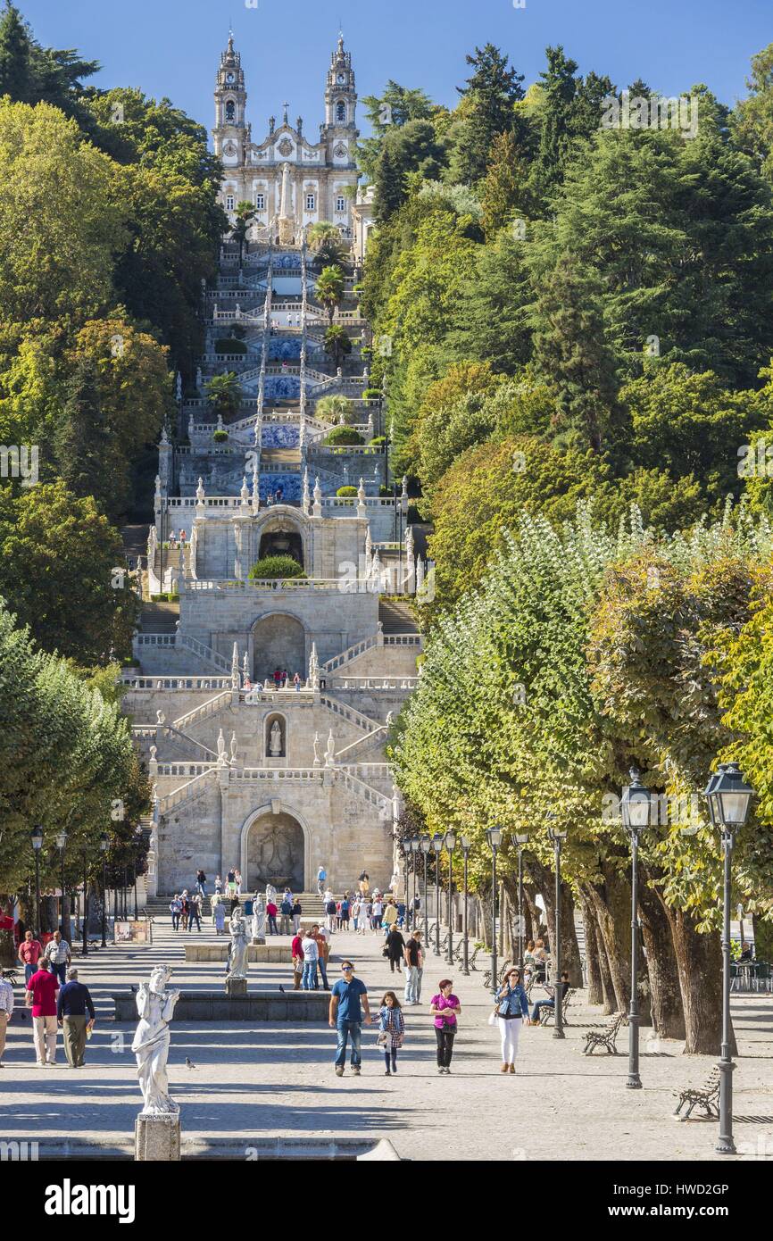 portugal-douro-lamego-northern-region-district-of-viseu-the