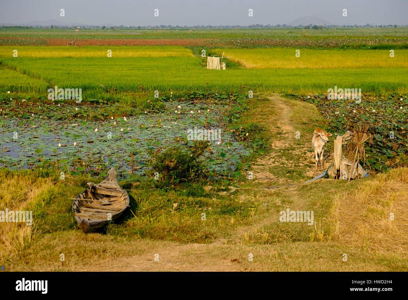 Cambodia, Kompong Chhnang or Kampong Chhnang, around Tonle Sap lake ...