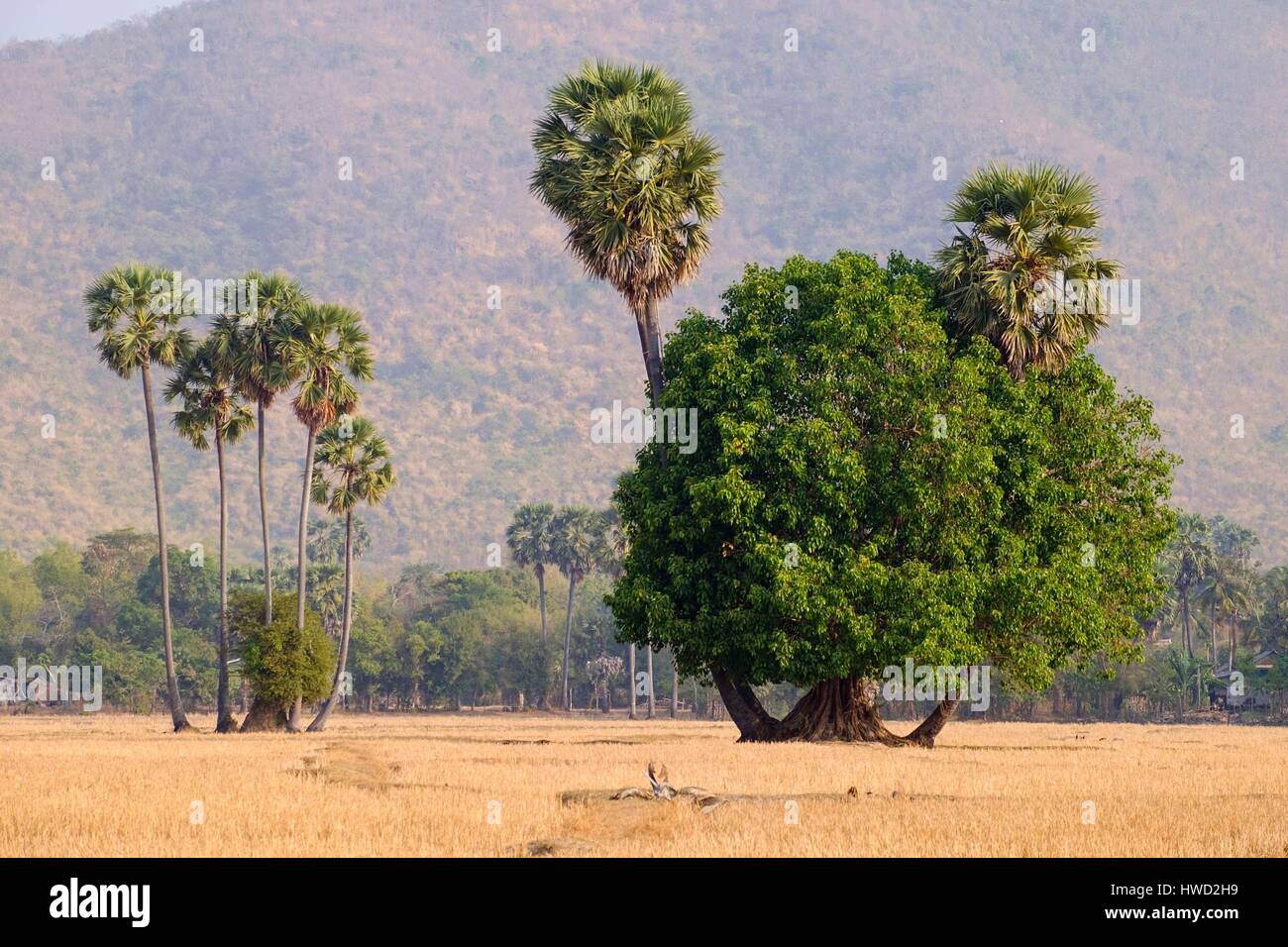 Kompong chhnang province hi-res stock photography and images - Alamy