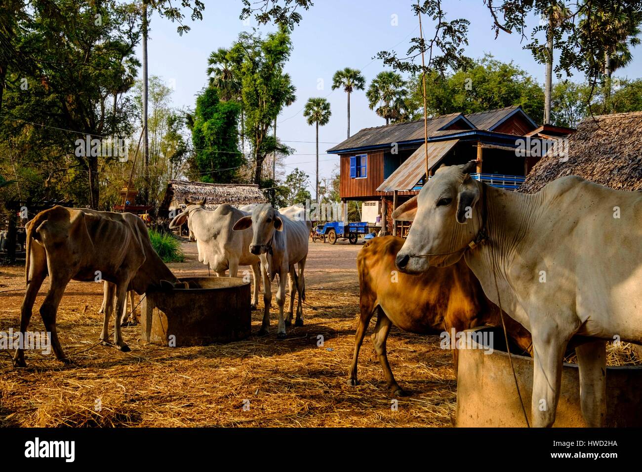 Kompong chhnang province hi-res stock photography and images - Alamy