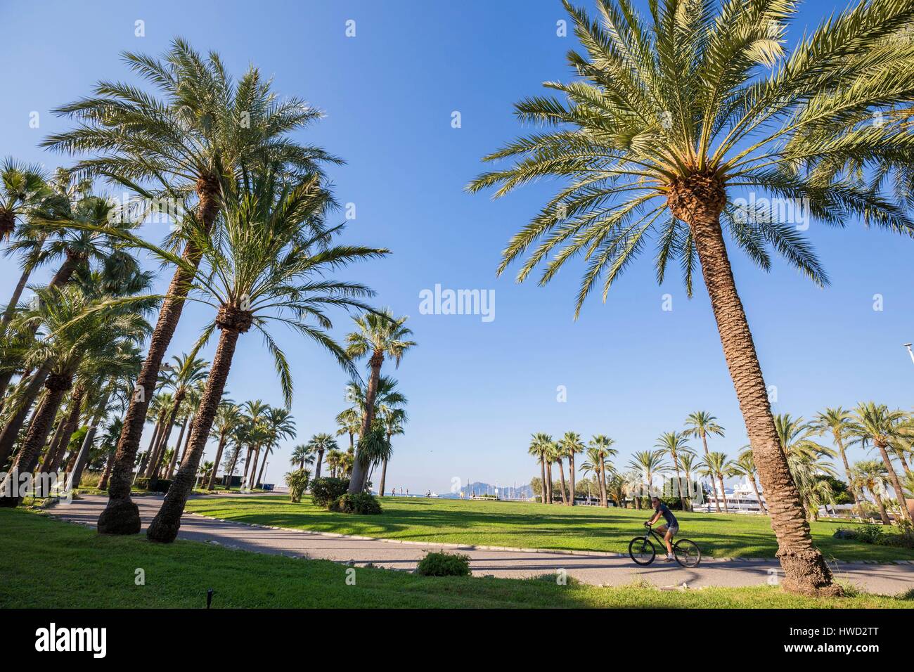 France, Alpes-Maritimes, Cannes, the public garden of Verdun near the ...