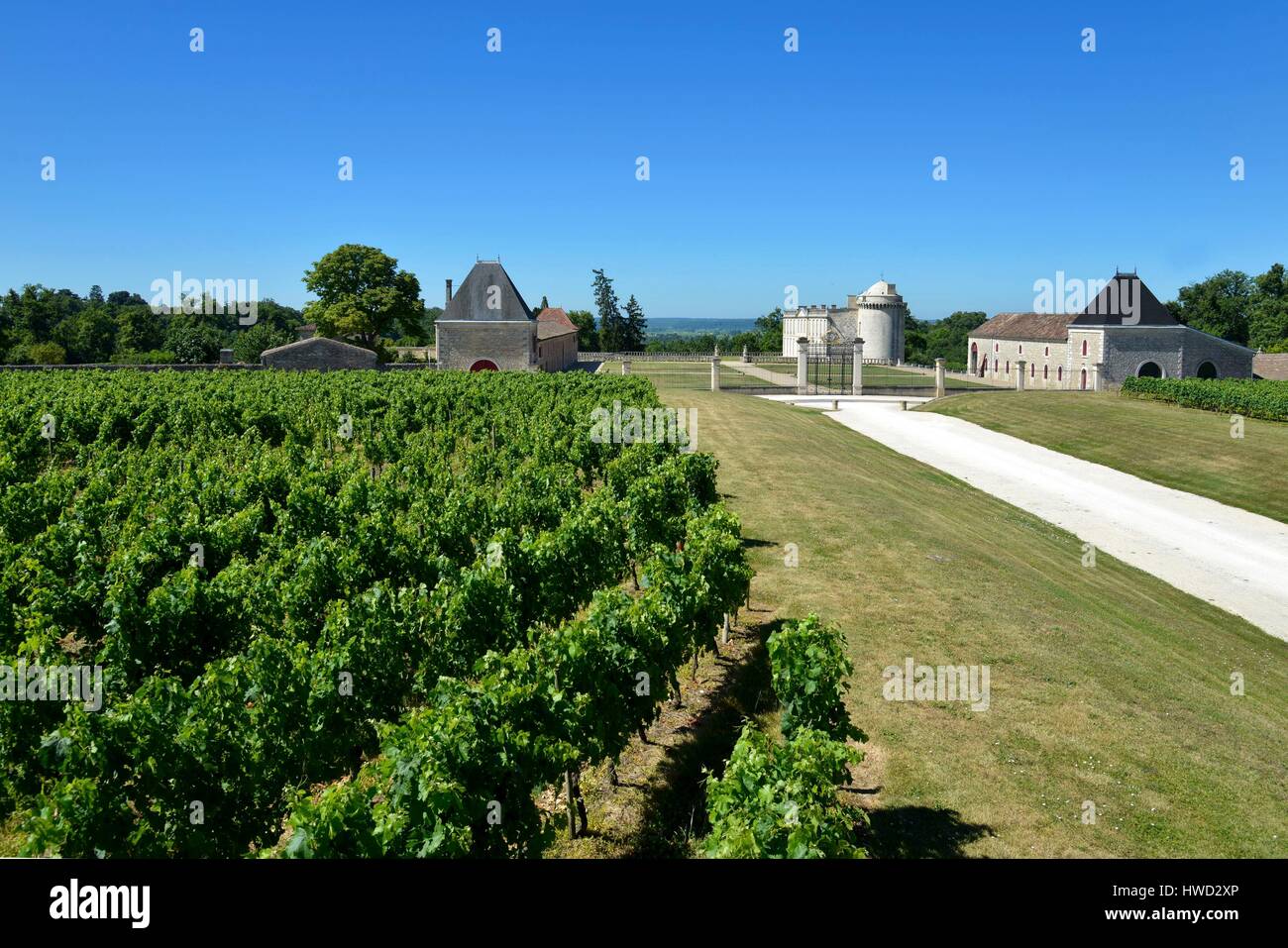 France, Gironde, Rocheyron, landscape of the Saint Emilion vineyards ...