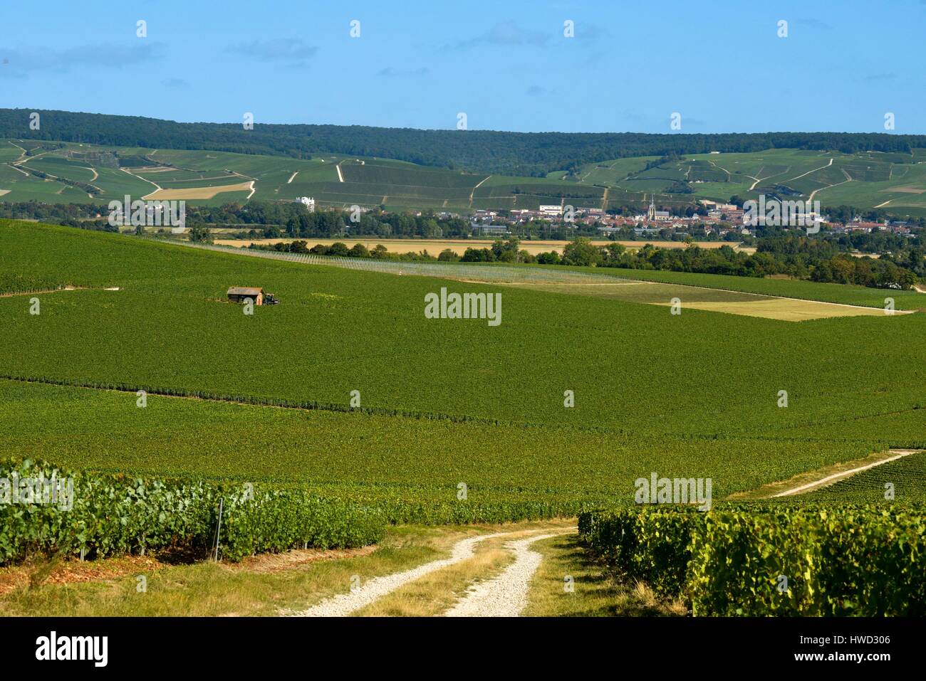 Ay Champagne Stock Photos & Ay Champagne Stock Images - Alamy