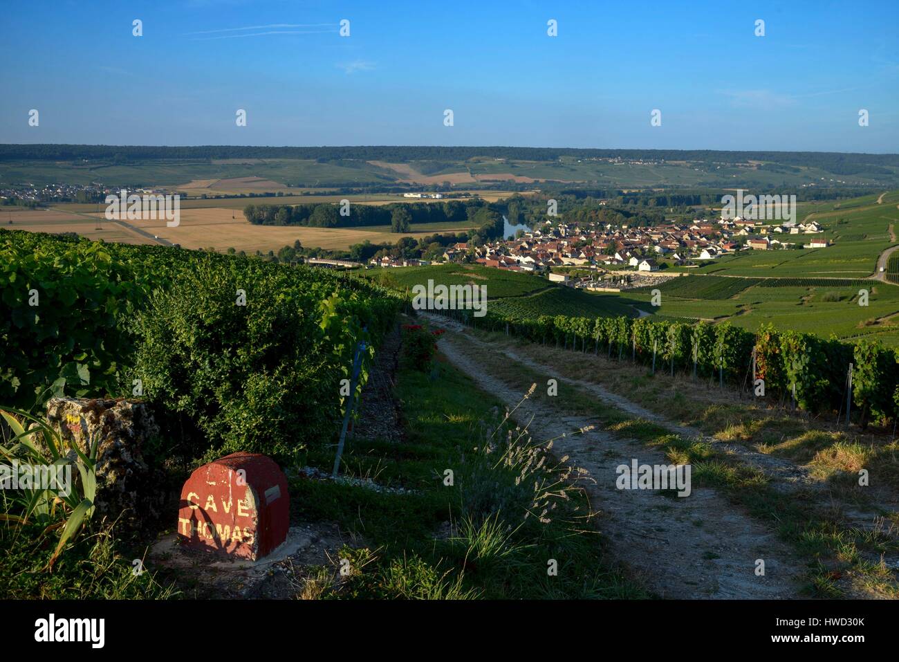 France, Marne, Cumieres, Marne Valley, border of demarcation of plot of ...