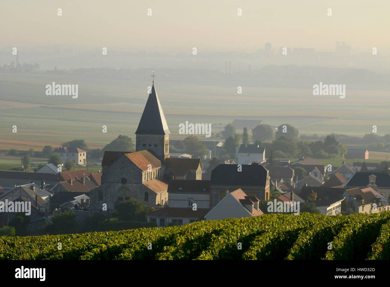 France, Marne, Sacy, mountain of Reims, vineyards of Champagne in the ...