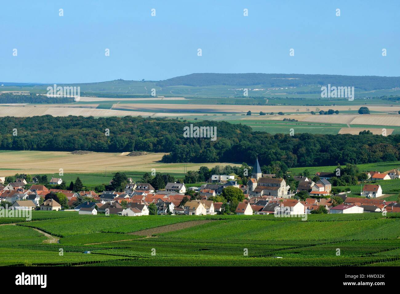 Sacy champagne hi-res stock photography and images - Alamy
