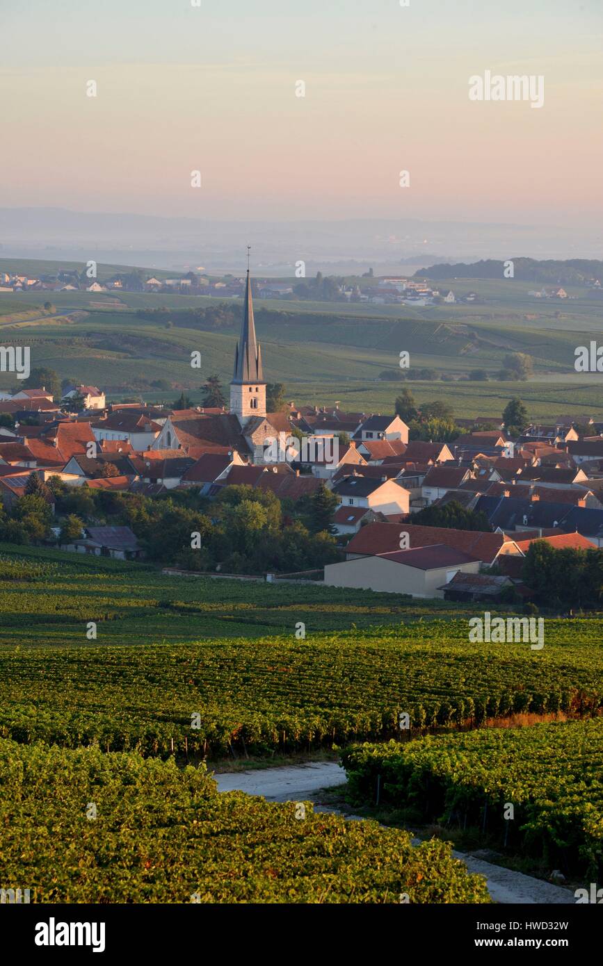 Reims vineyards hi-res stock photography and images - Alamy